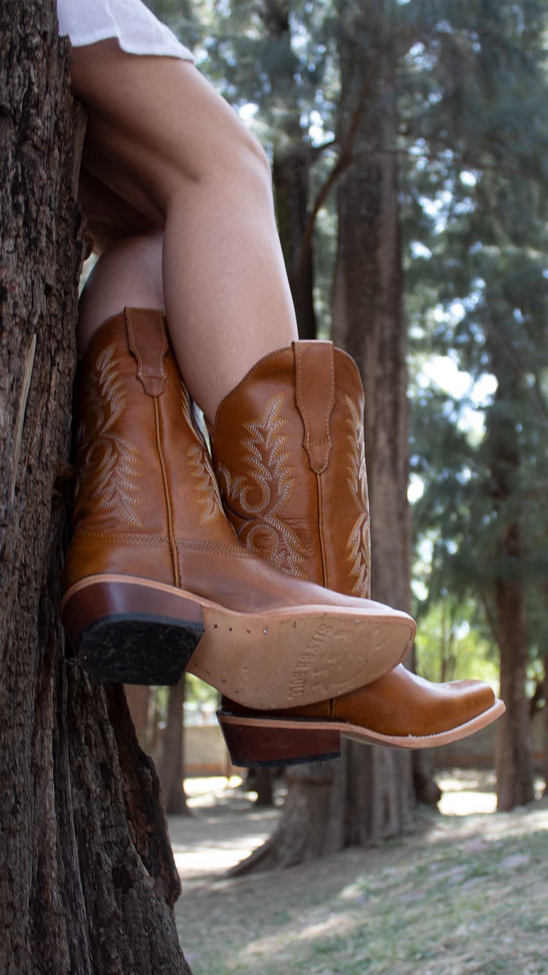 Productos – Diamond Bull